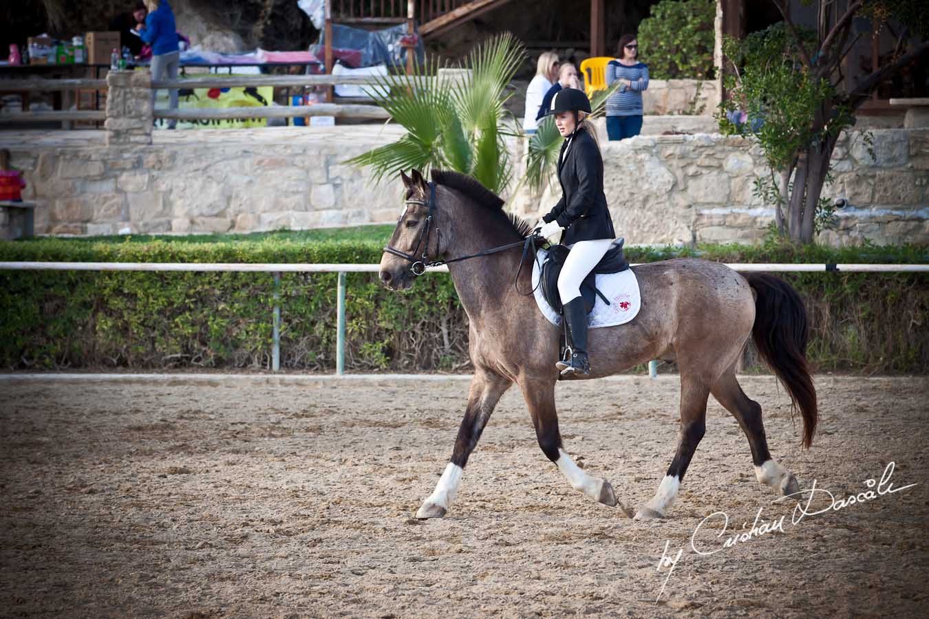 Curium Equestrian Center | Horse Riding Competition of 2011
