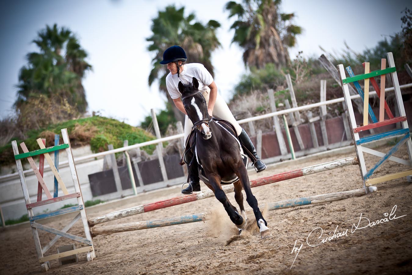 Curium Equestrian Center | Horse Riding Competition of 2011