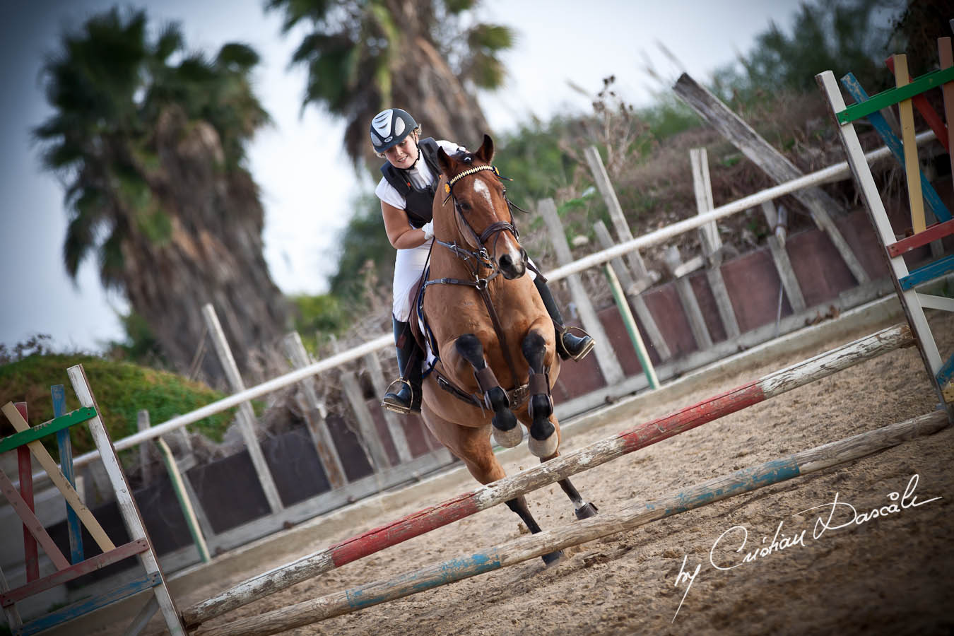 Curium Equestrian Center | Horse Riding Competition of 2011