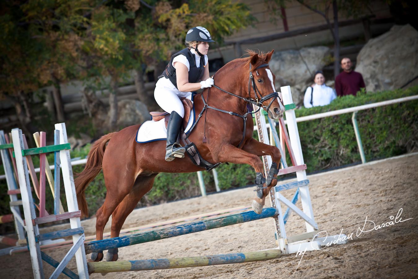 Curium Equestrian Center | Horse Riding Competition of 2011